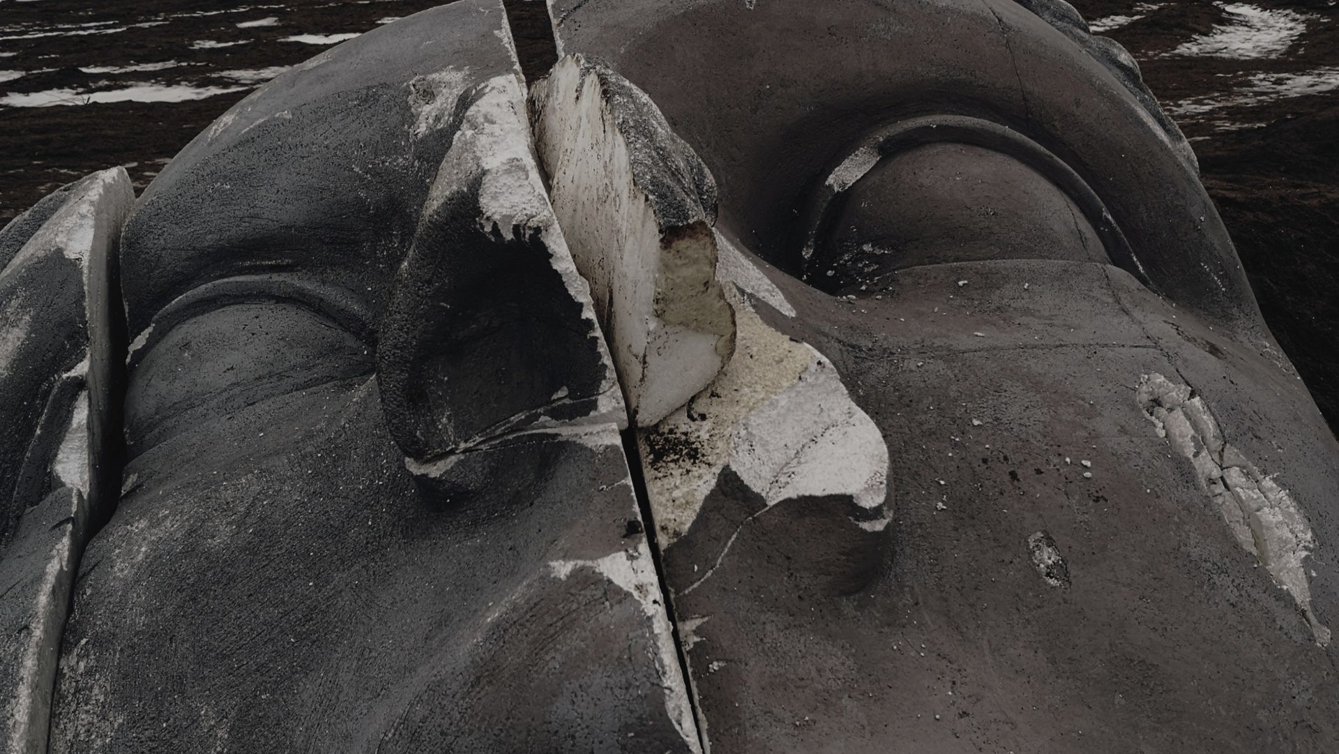 A Souvenir of Me – Guernica